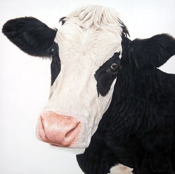 Artists Who Create Close-Ups - The Arty Teacher