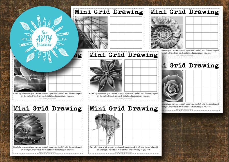 Art Extension Tasks 8 Mini Grid Drawings Natural Forms - The Arty Teacher