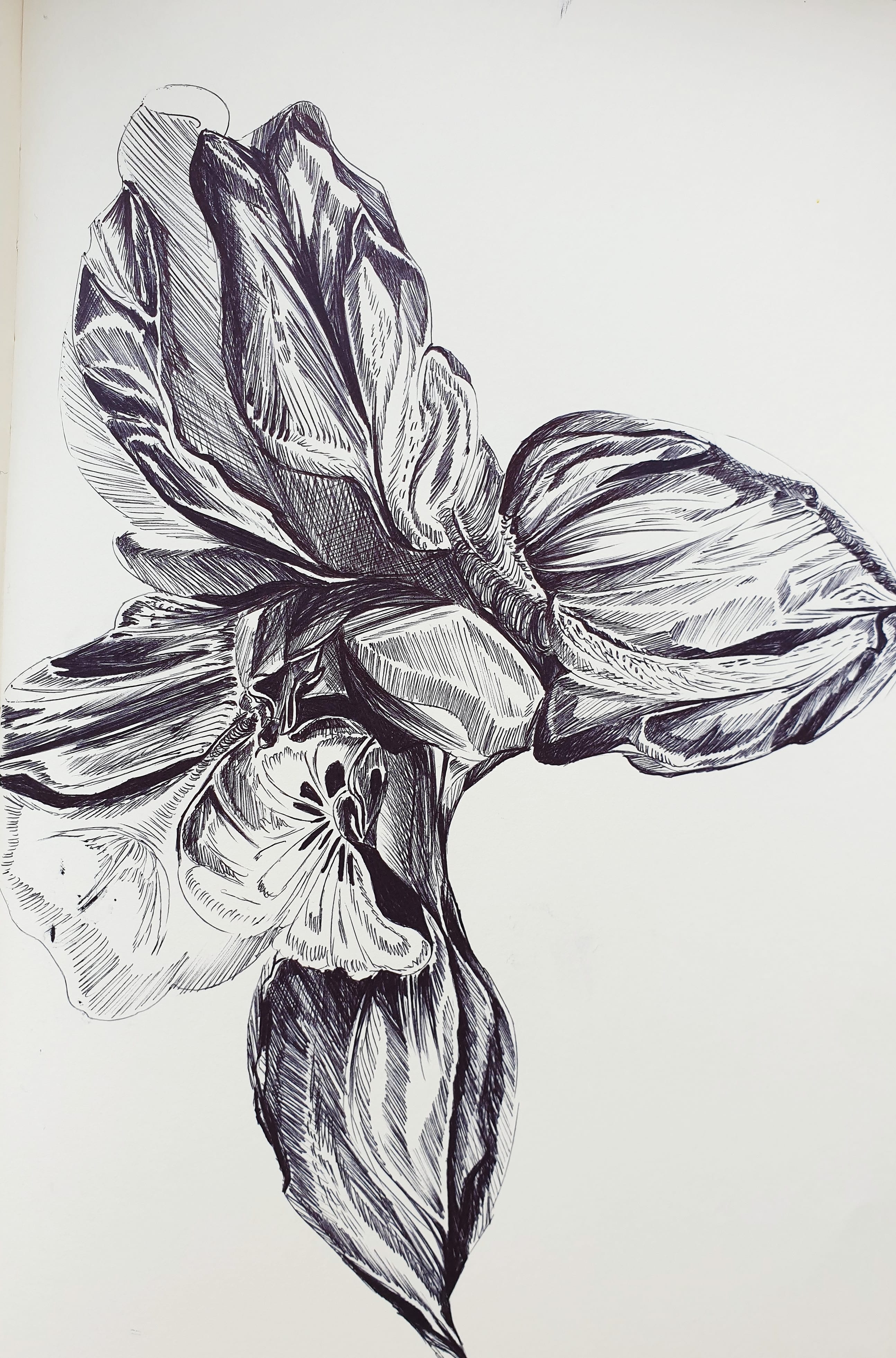 Sara Rawat - The Arty Teacher