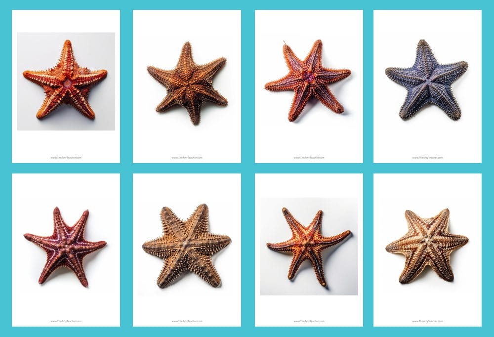 Watercolour & Coloured Pencil Starfish Art Lesson - The Arty Teacher