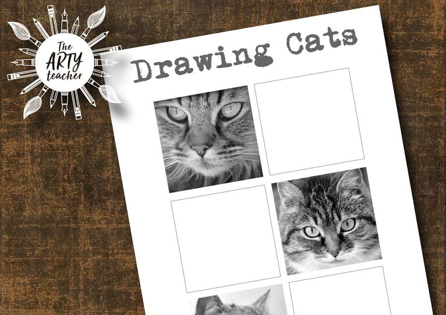 Drawing Cats - Close-up of Cats - The Arty Teacher