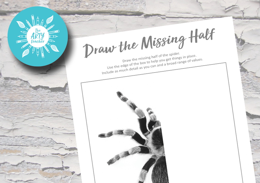 Drawing Spiders - Draw the Missing Half of the Spider - The Arty Teacher