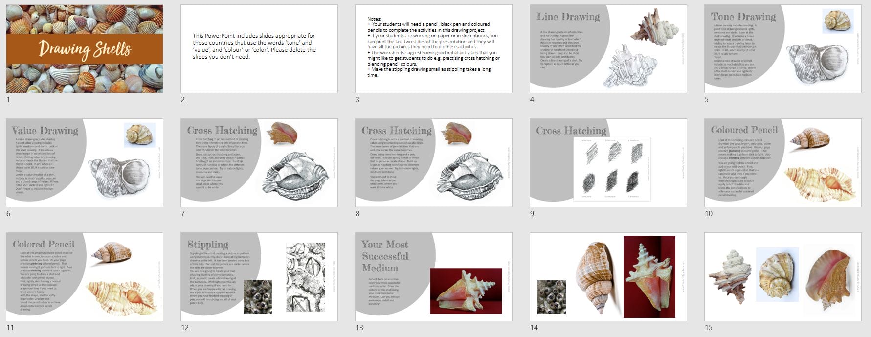 Drawing Shells - Blended School or Home Learning - The Arty Teacher