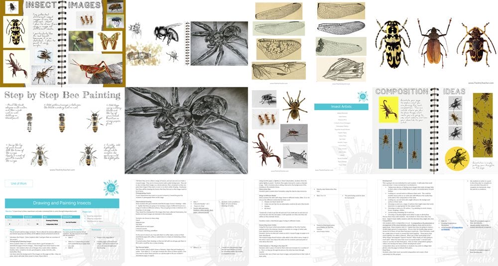 Drawing and Painting Insects Unit of Work - The Arty Teacher