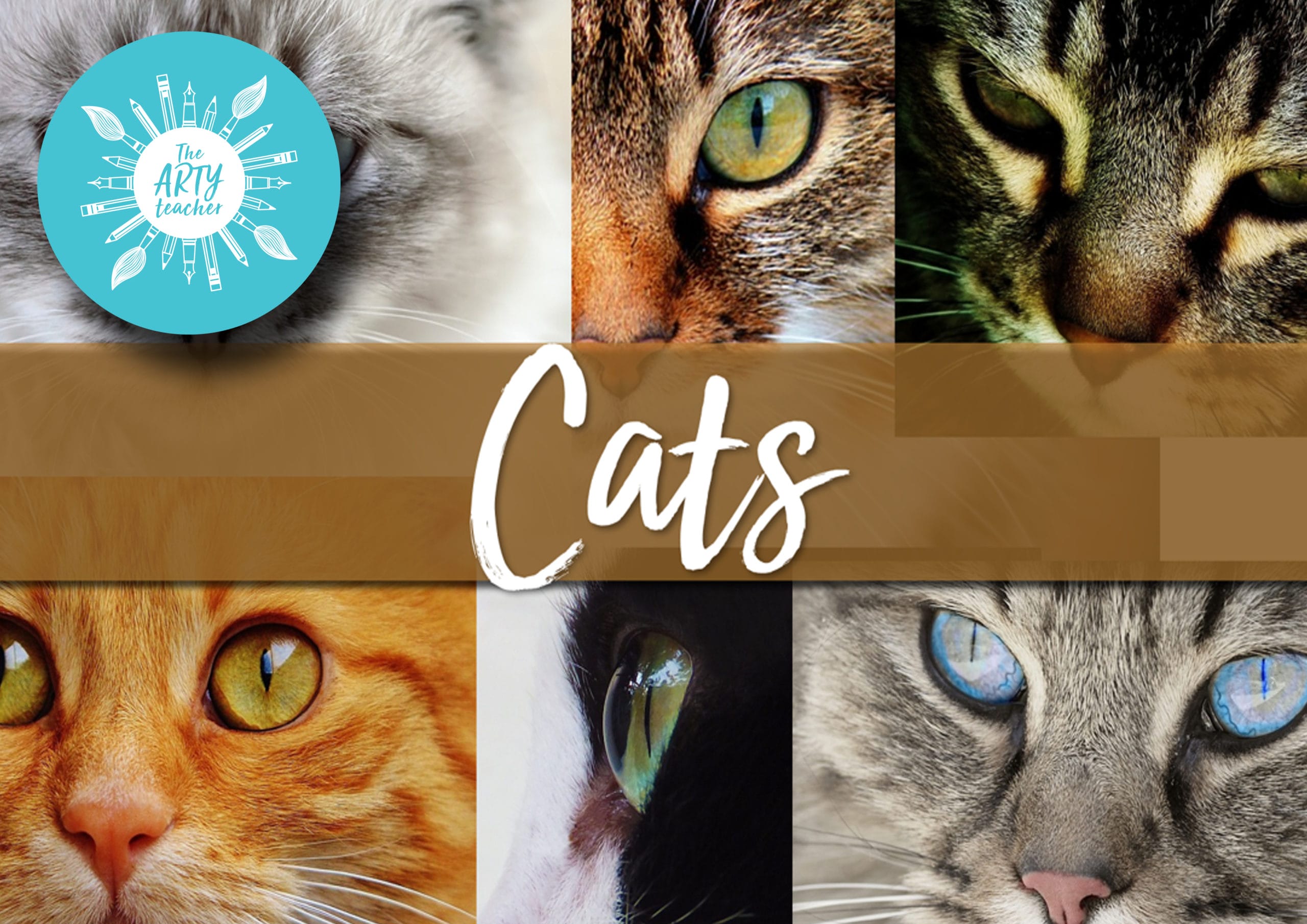 Cats Image Bank - The Arty Teacher