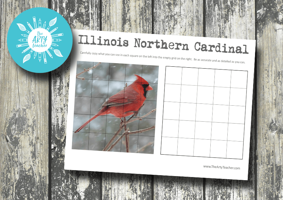 Illinois Cardinal Grid Drawing - The Arty Teacher