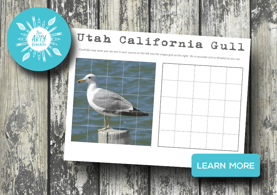 Utah California Gull Grid Drawing - The Arty Teacher